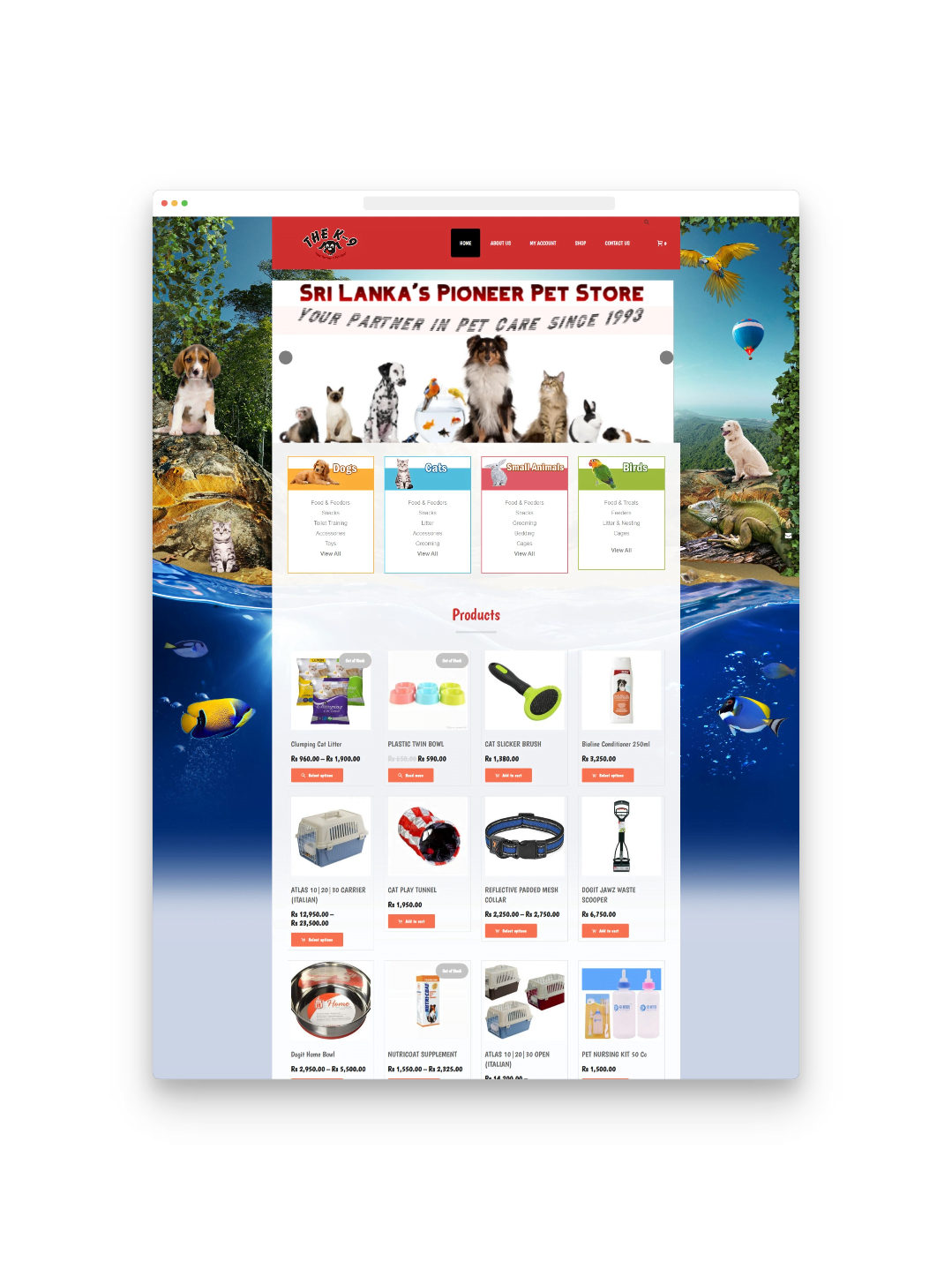 E-Commerce web development Sri Lanka - Creantis World | Web Designing ...
